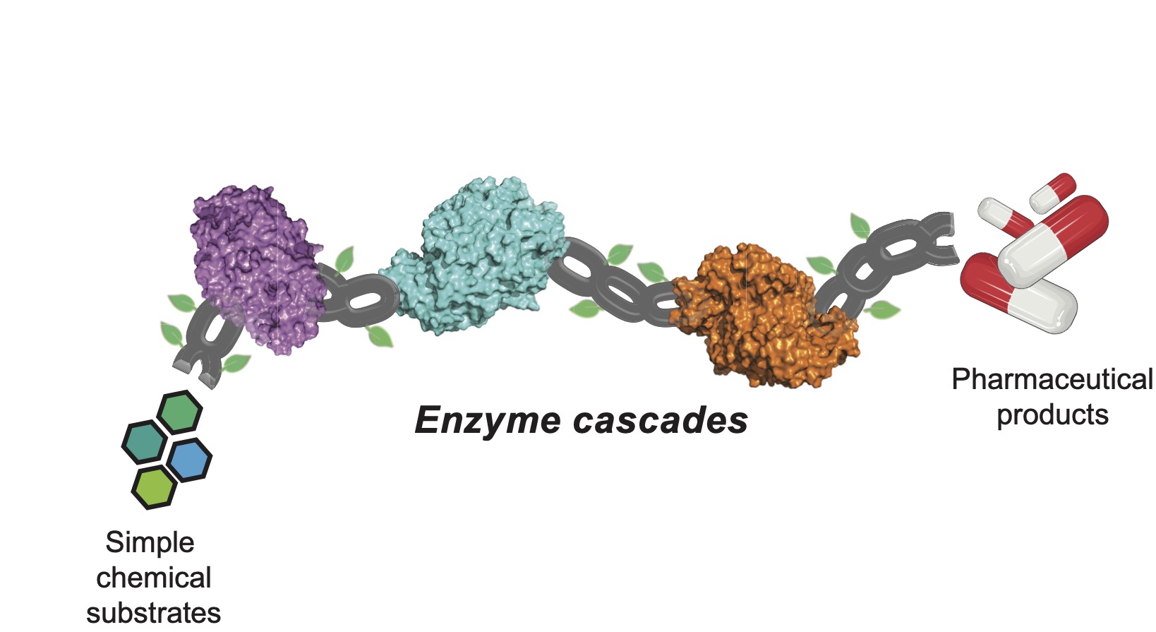 Nature Chemistry (2022): "Multistep enzyme cascades as a route towards ...
