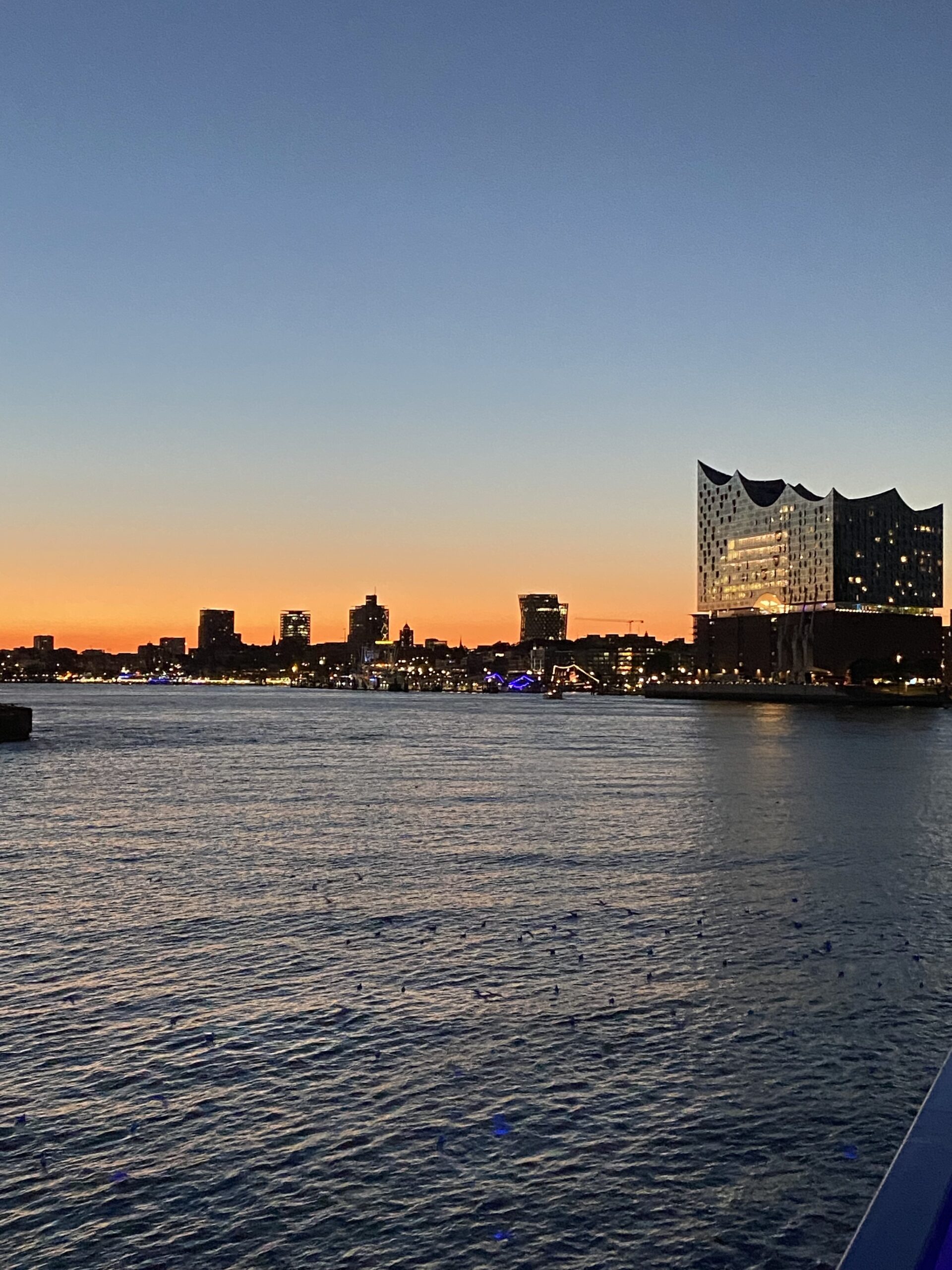 News - Paradisi Research